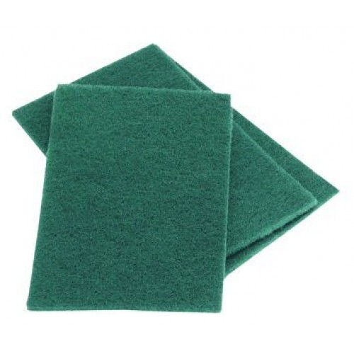Green Scourers 9x6 x 10 | Source